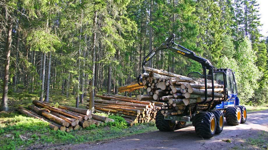 Porteur Forestier F10D Rottne • F2MC