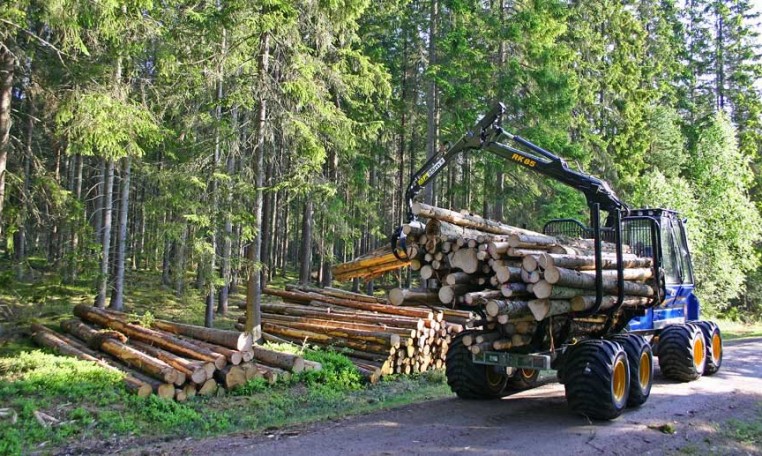 Porteur Forestier F10B Rottne • F2MC