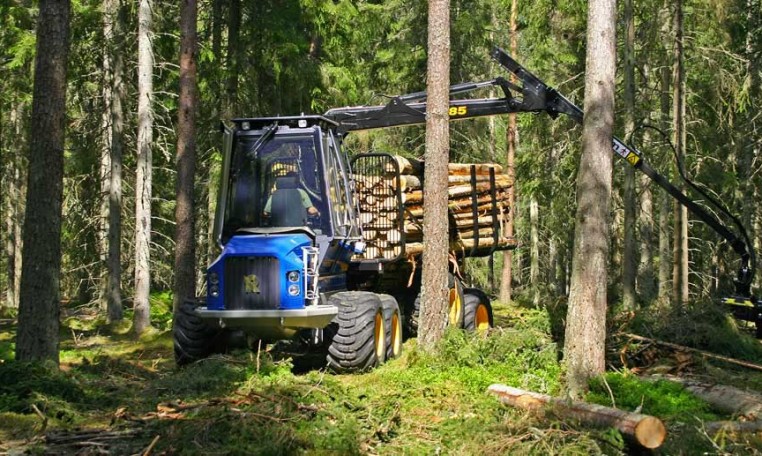 Porteur Forestier F10B Rottne • F2MC